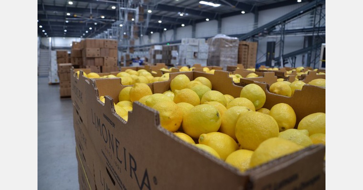 Strengthening pricing on tighter lemon supplies