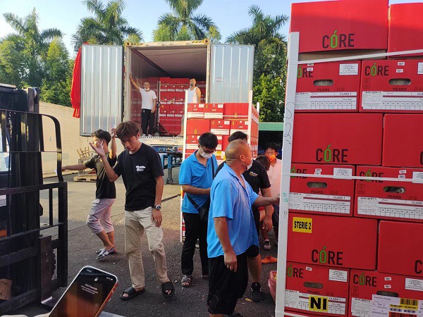 South African pears pique interest on the Chinese market