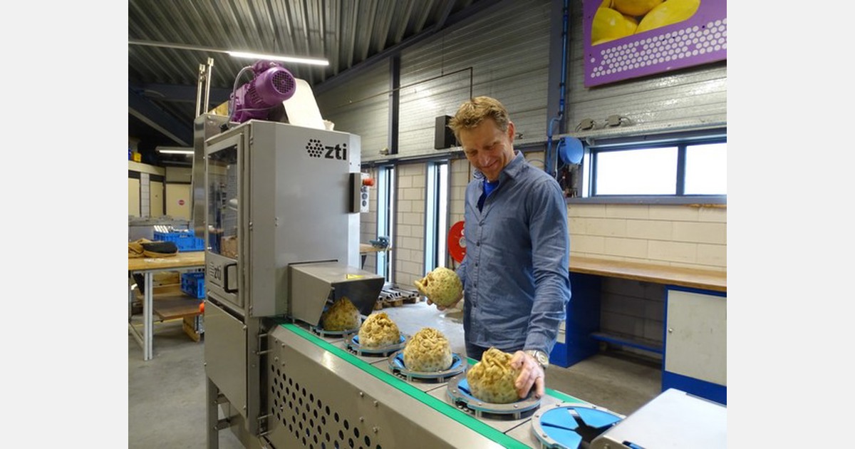 Vegetable processing also requires specific smart machines