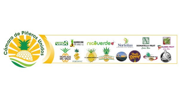 Costa Rican pineapples see increased costs due to global inflation