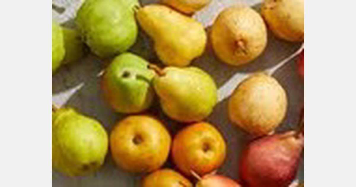 Eating pears will improve your health