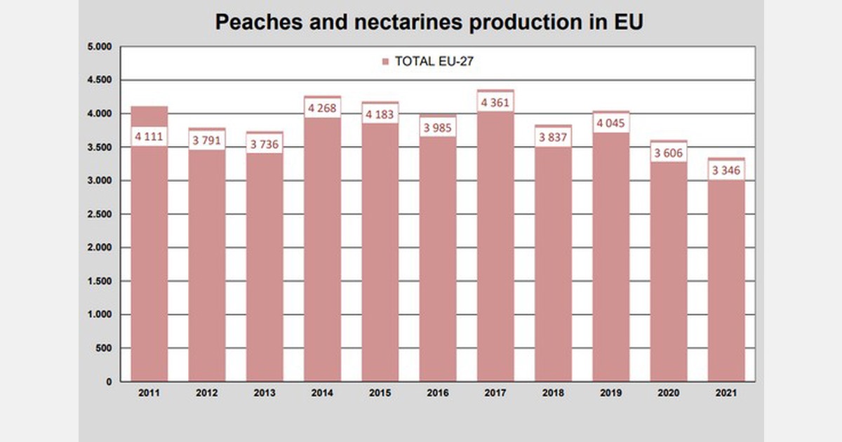 European peach prices Week 39 at €114 per 100 kgs