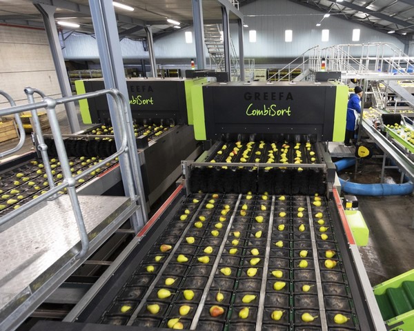 MED Automation and Greefa’s new packing line installation at Ceres ...