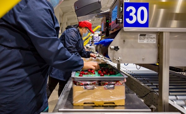 Chilean exporters join forces in China