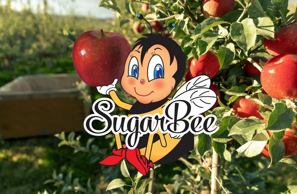 SugarBee Apples to be sold collaboratively with powerful new partnership