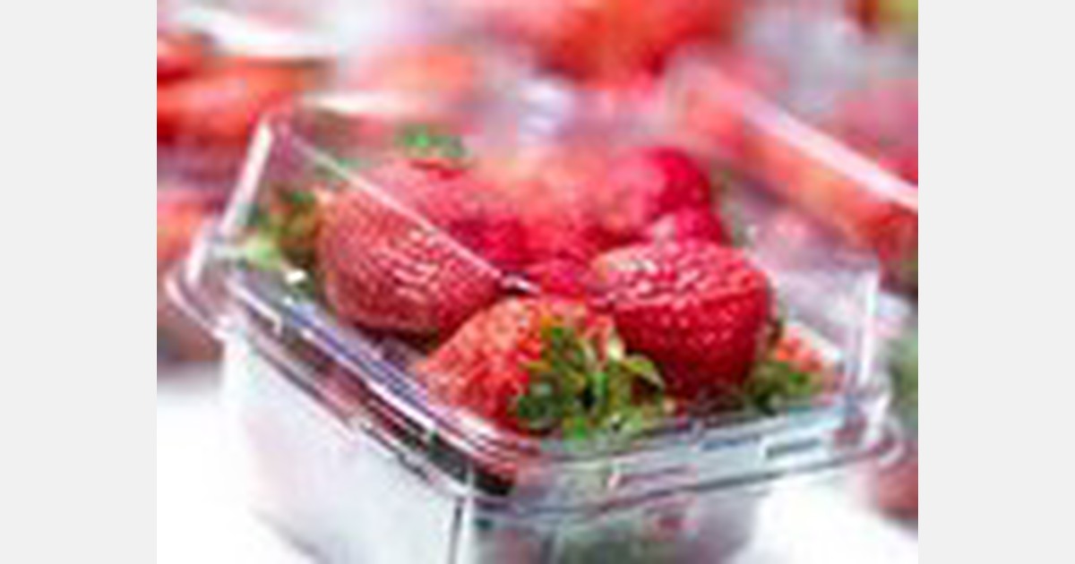 EU ban on Russian plastics aggravates food inflation