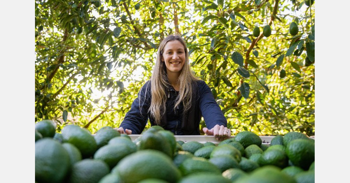 "We’re expecting to hand-pick around 27 million Delcados"