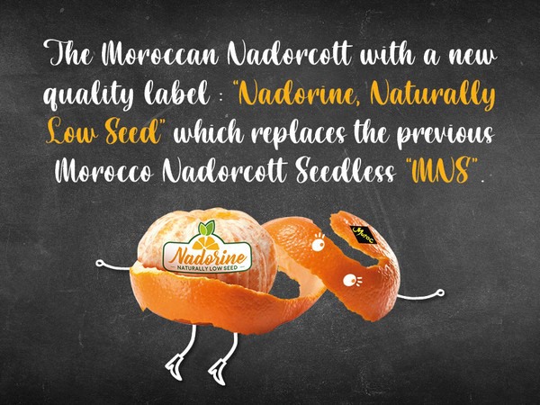 New quality label for the Moroccan Nadorcott