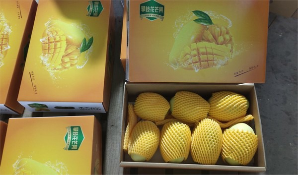 "We try to export Panzhihua mangoes to more markets"