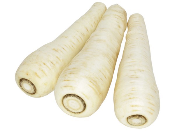 Vegetable breeder introduces new parsnip variety