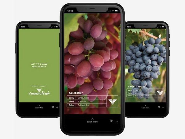 Produce marketer launches retail kit