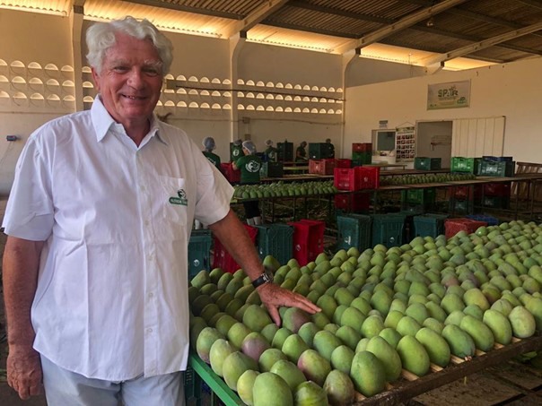 BioTropic relies on Brazilian mango to close the supply gap between ...