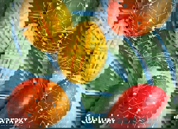 GLOBAL MARKET OVERVIEW MANGOS