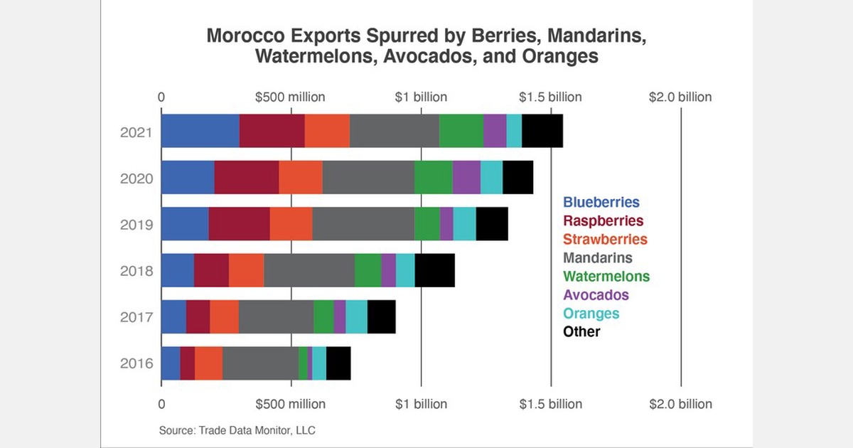 Morocco exports spurred by berries, mandarins, watermelons avocados and ...