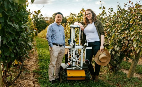 Autonomous robots to help modernize grape industry