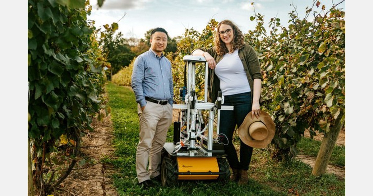 Autonomous robots to help modernize grape industry