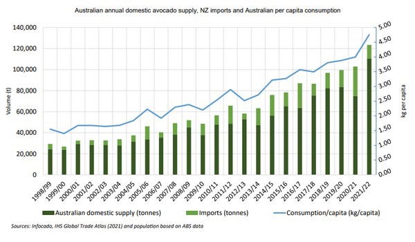 Australian avocado production and consumption on the rise according to ...