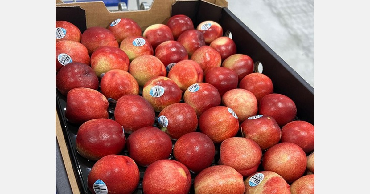 "Lower volumes but exceptional brix levels"