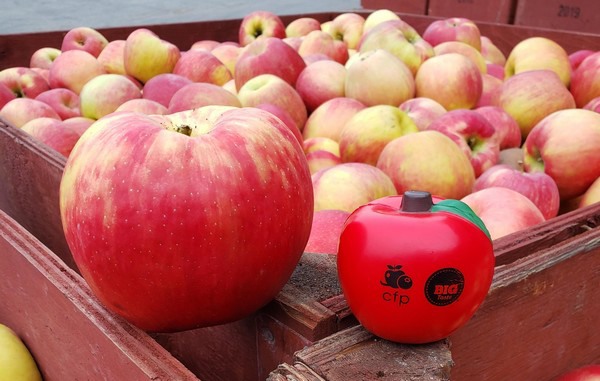 British Columbia fruit packer focuses on developing pear category