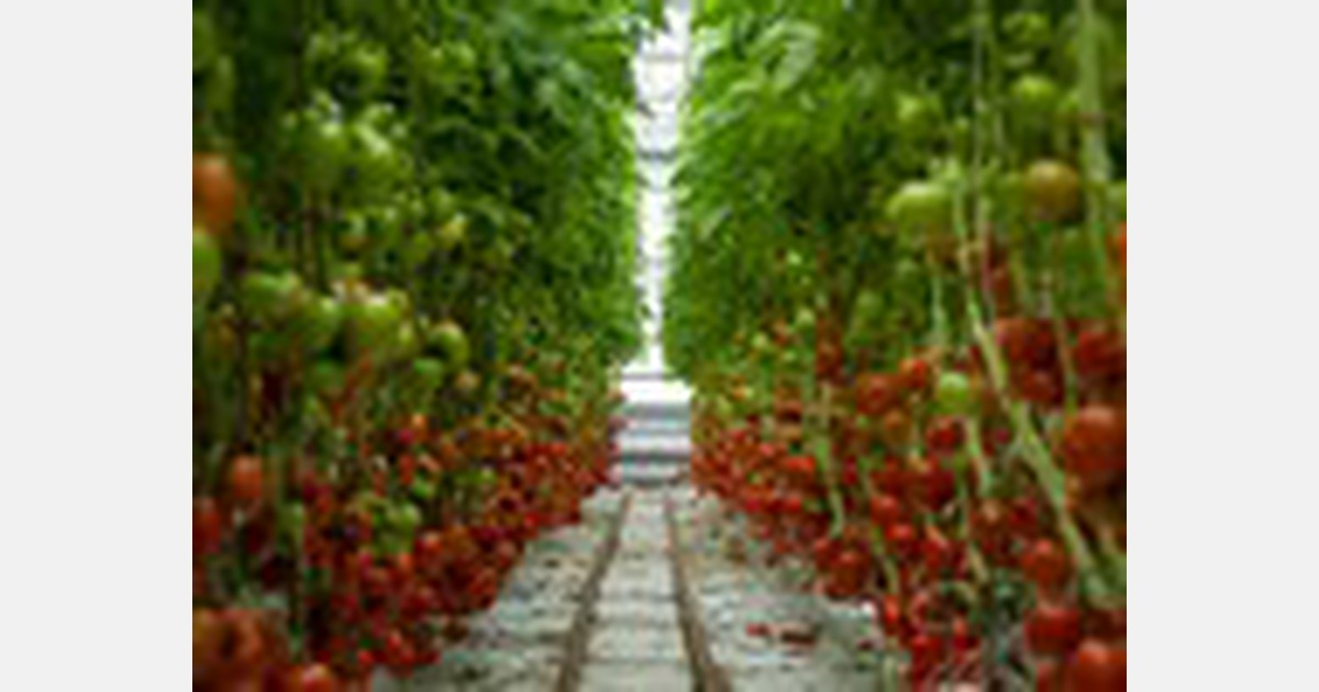 Growth of specialty crops highlights need for expanded risk management ...