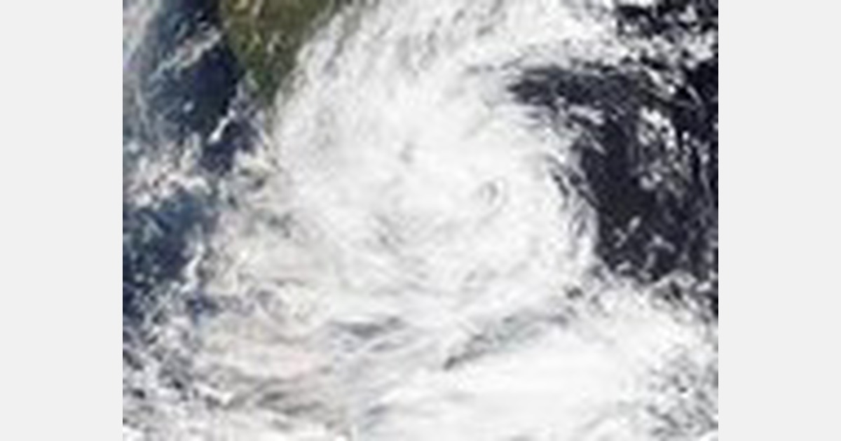 Karnataka vegetable crops damaged by Cyclone Mandous