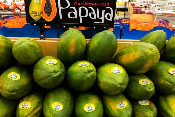 Most popular season for papaya fast approaching