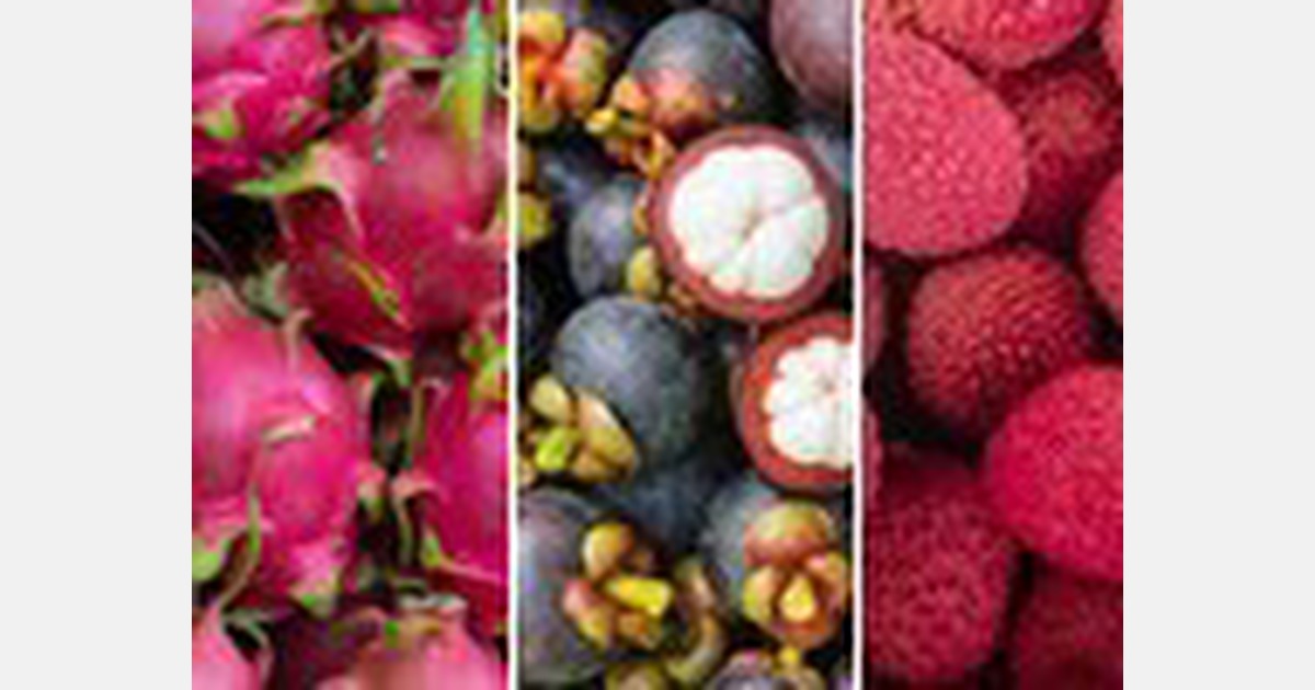 Growers in Northwest São Paulo region focus on less-known but ...