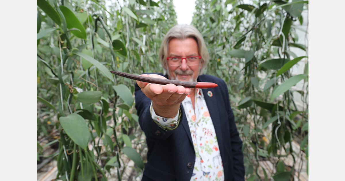 "The festive season is when top chefs experiment with cress to ...