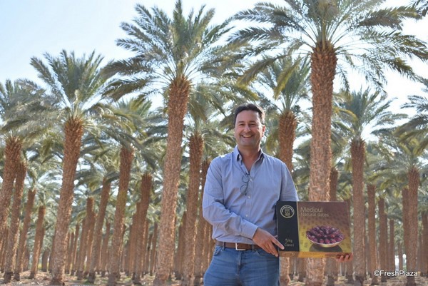 Half the world’s Medjool dates grow on Israeli palm trees