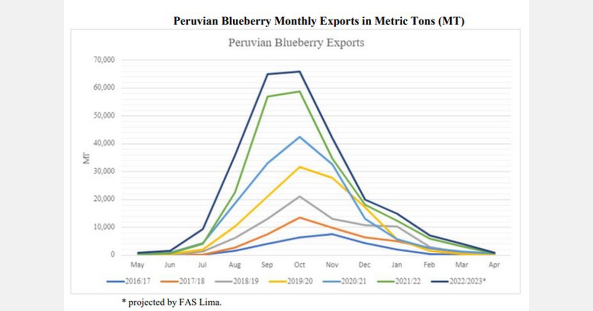 Peruvian blueberry production for MY2022 to reach a record 280,000 tons