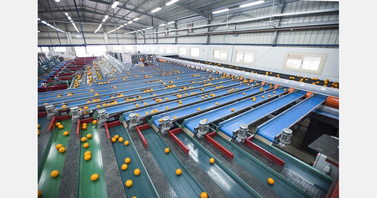 “We have successfully exported our oranges to Japan”