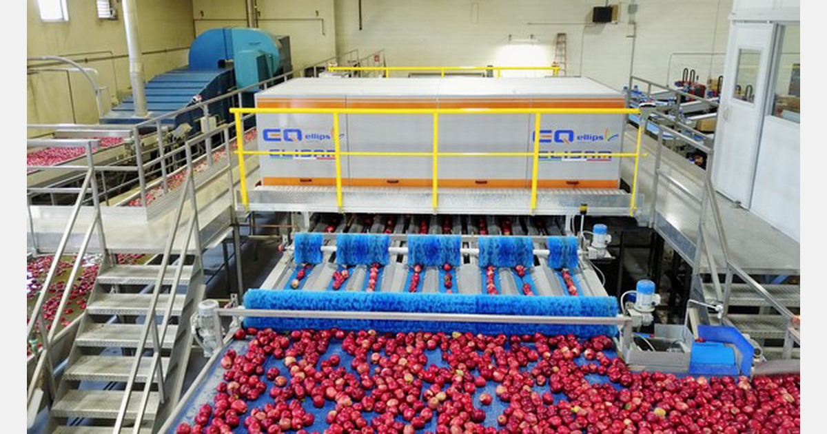 Apple grower-shipper upgrades grading and sorting tech