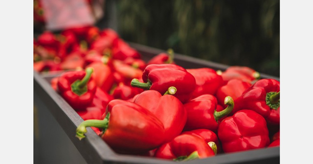 Pure Flavor acquires Ontario greenhouse bell pepper farm