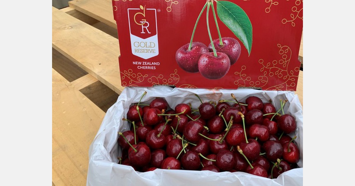 Early CNY good for New Zealand cherry exports, but challenges ahead