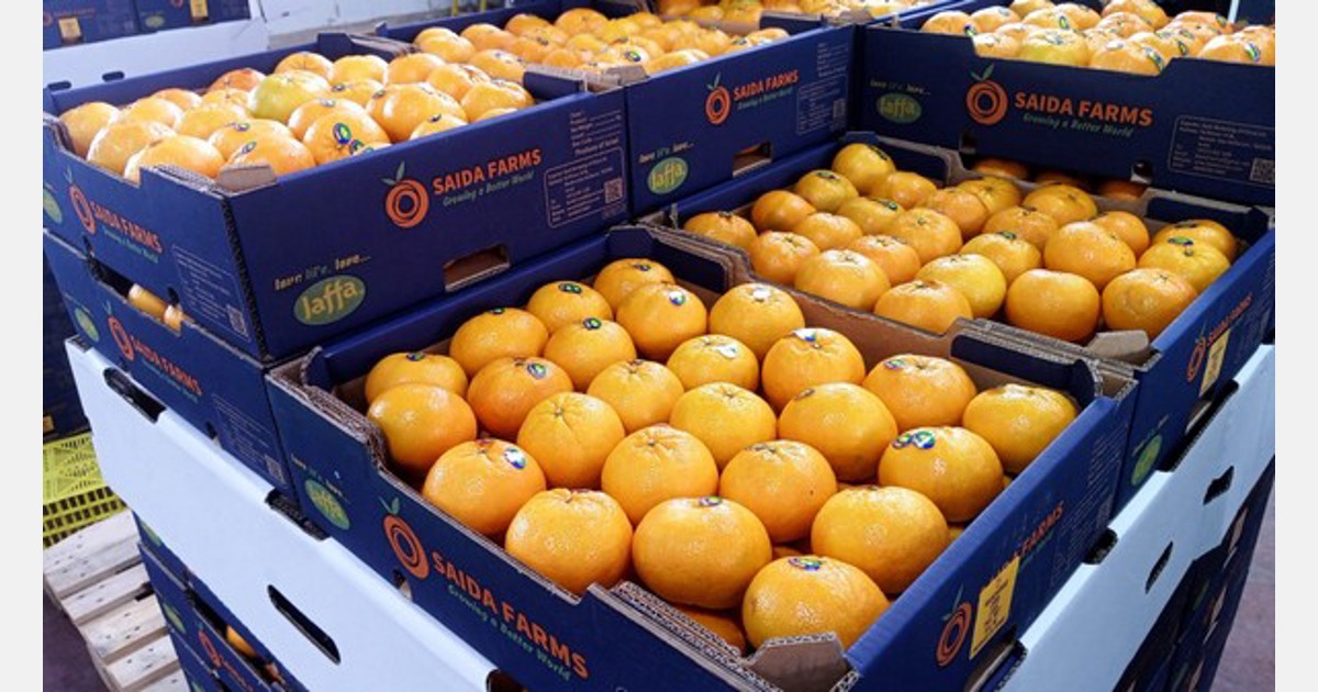 “The citrus market will remain strong throughout February”