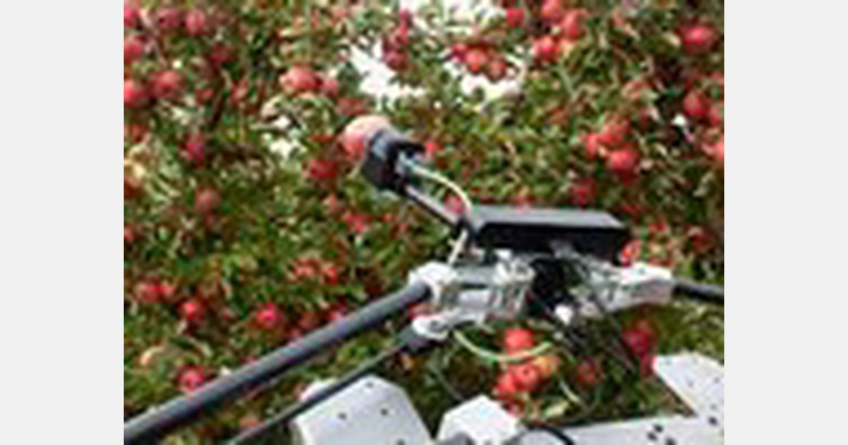 Ripe Robotics making headway with viable robotic harvesters