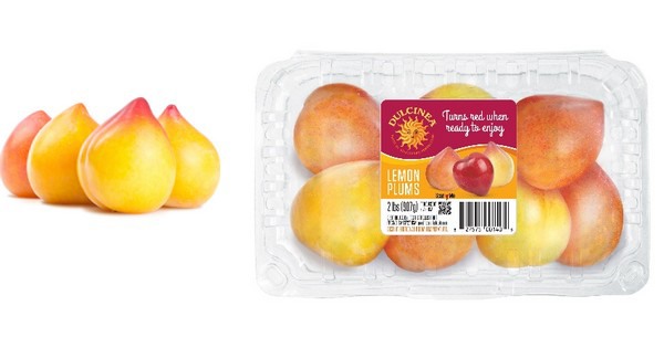 Fruit shipper introduces new specialty imported plum program