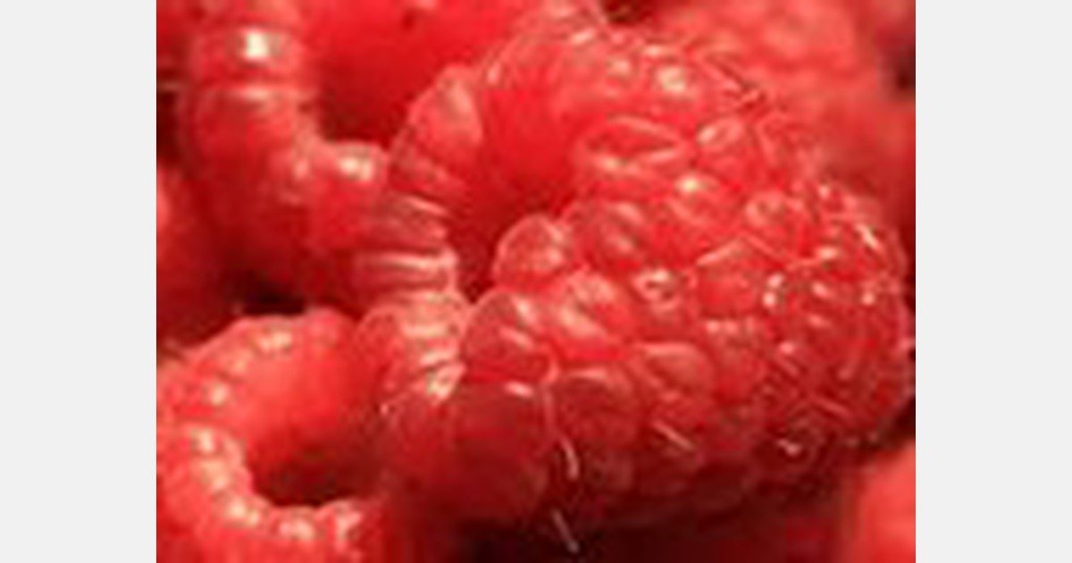 Ukraine exported record high volumes of raspberries in 2022