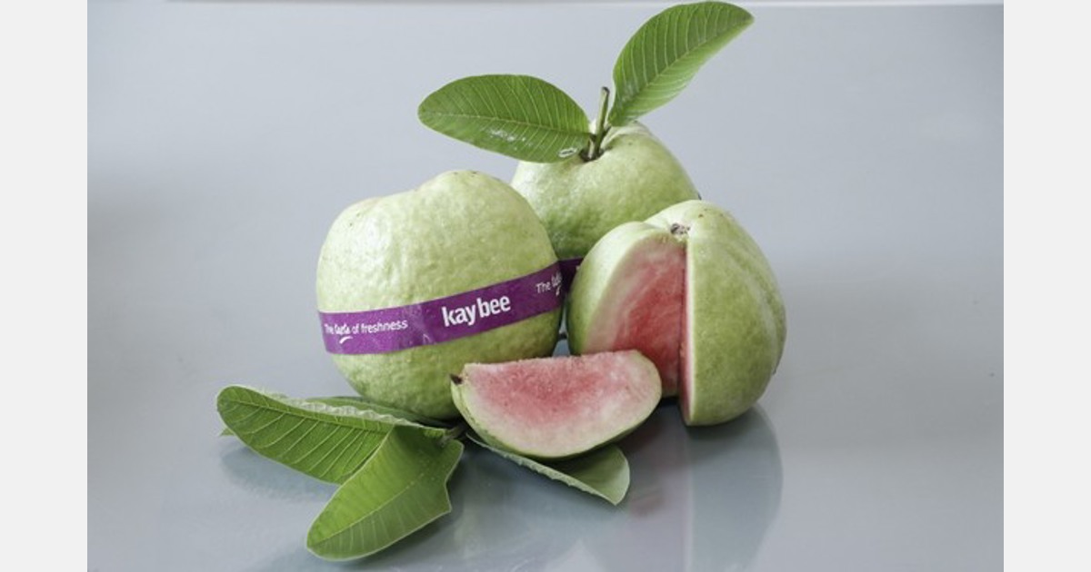 “The red guava would be an exclusive, ultra-exotic fruit in this market”