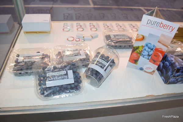 Serbian berry producer optimistic about opportunities in Europe