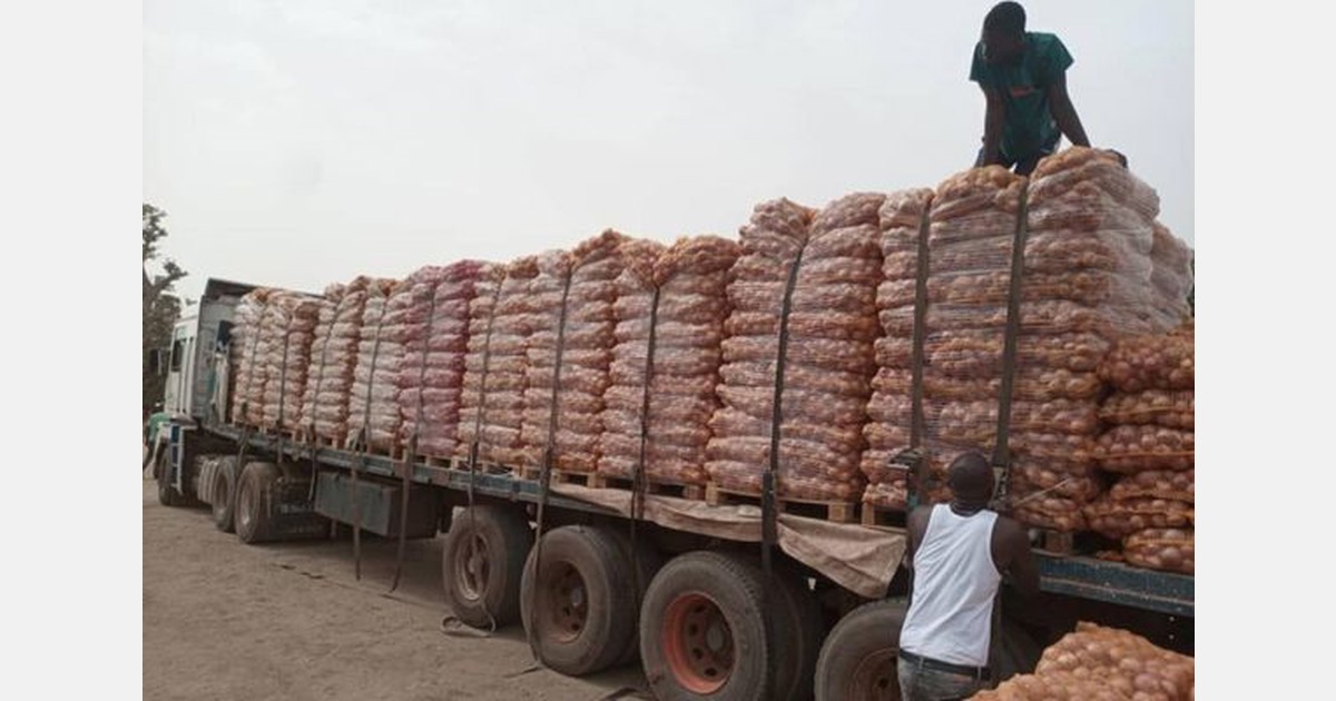 Onion production remains a solid industry in Senegal