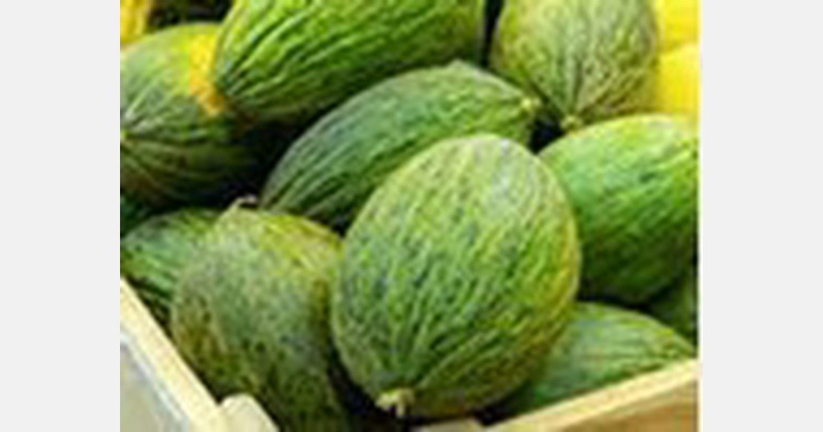 MSC is ready to ship melons from Senegal