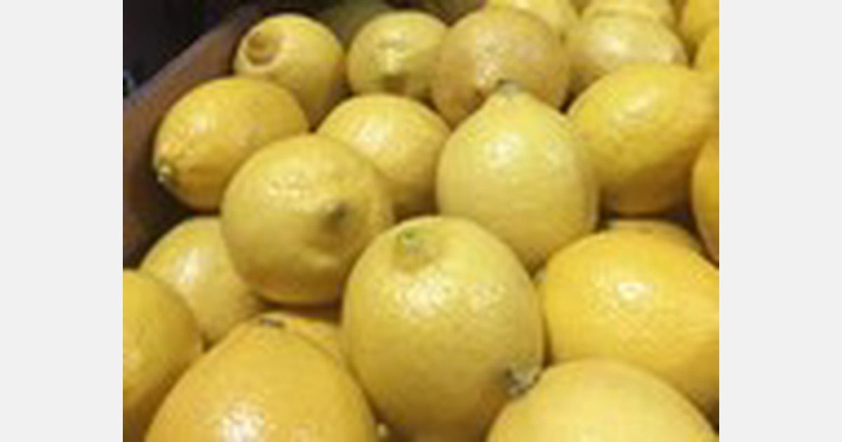 Mexican lemon crop going longer this year