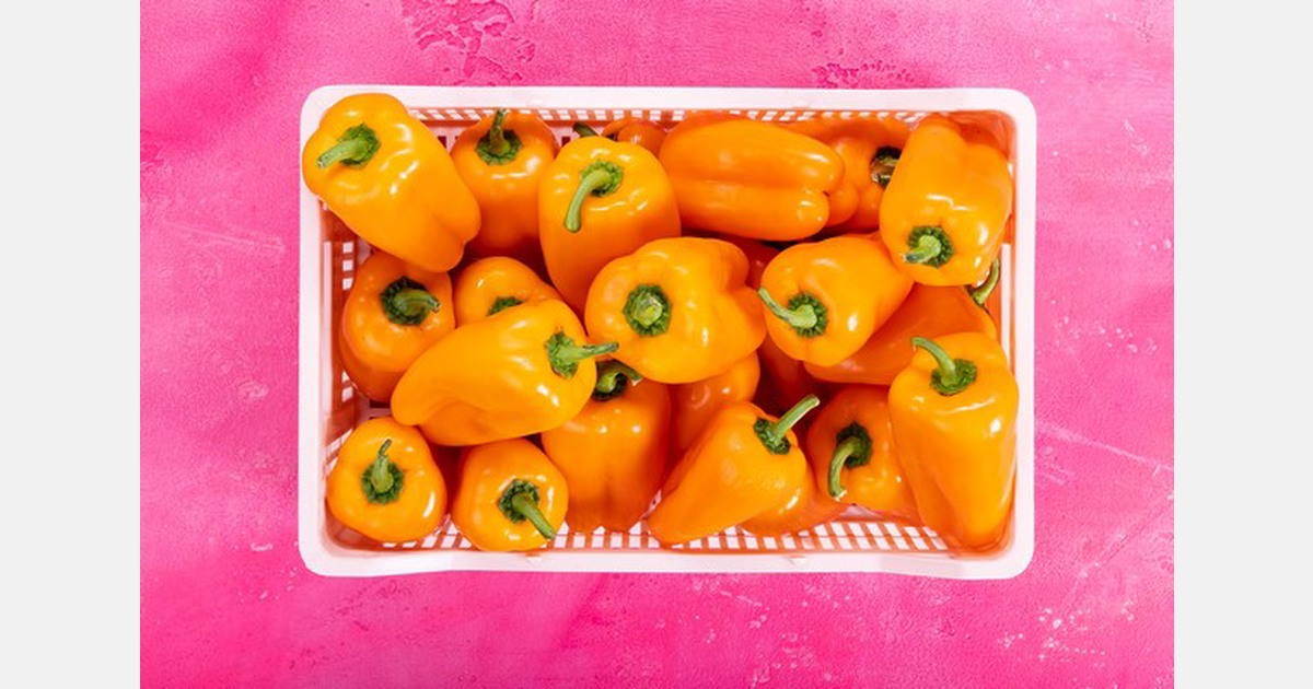 "Our snack pepper delivers an evolution to the pepper category"