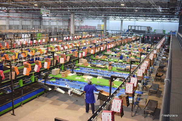 “This is going to be a busy packhouse”