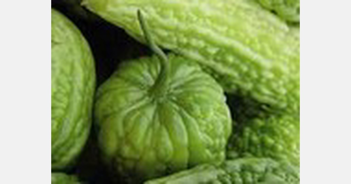 Tanzanian growers given hope as EU lifts ban on bitter gourd