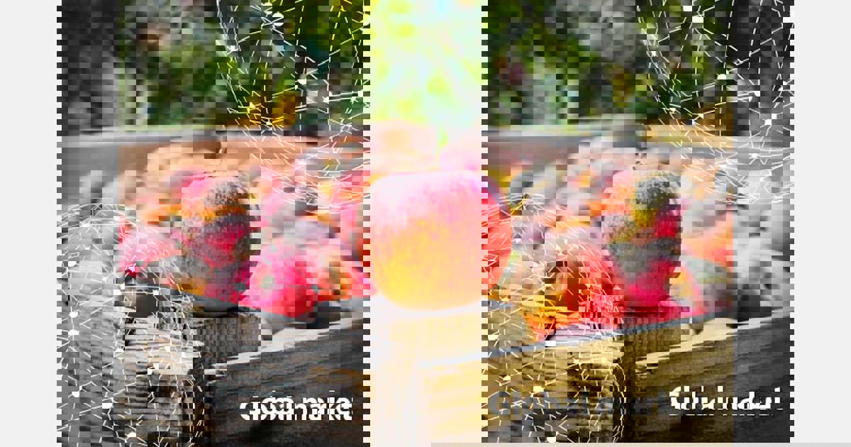 GLOBAL MARKET OVERVIEW APPLES