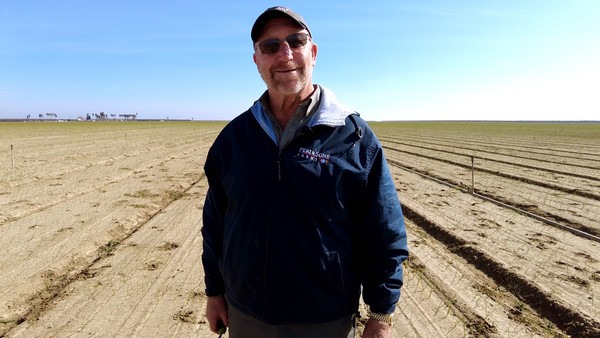 Pricing softens on onions following start of Mexican crop