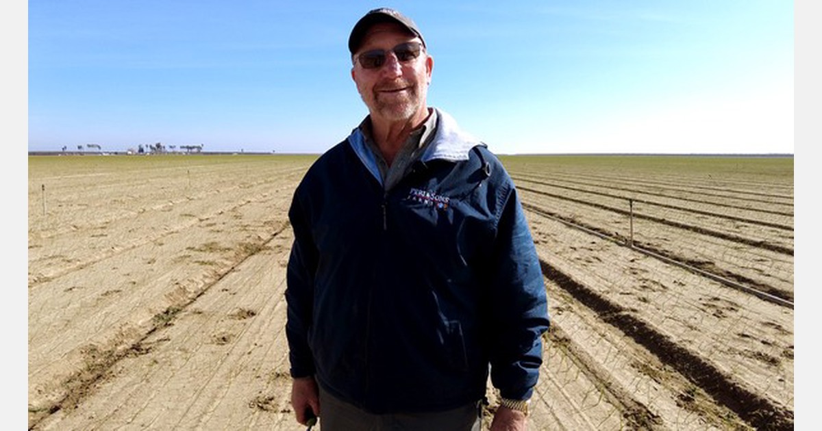 Pricing softens on onions following start of Mexican crop