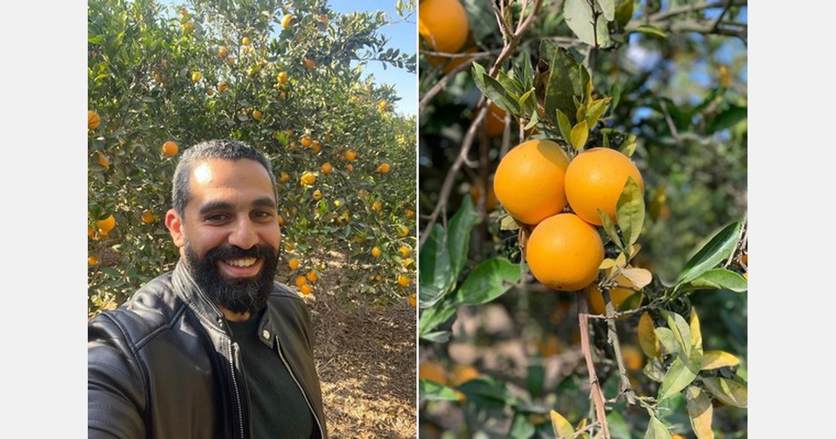 “Major opportunities for Egyptian citrus can be found in Far-Eastern ...